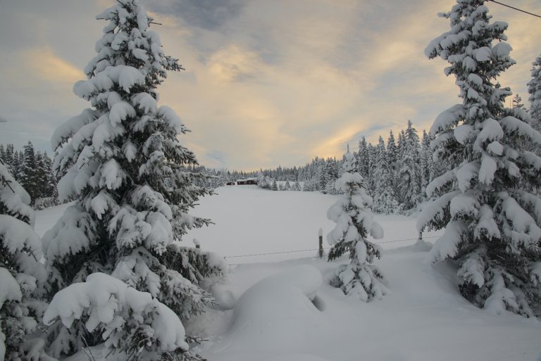 Vinterbilder | Kjersti Rylandsholm