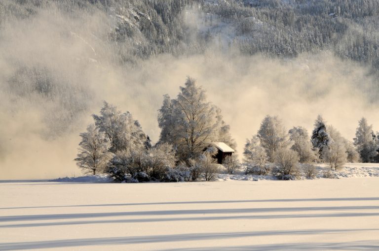 Vinterbilder | Kjersti Rylandsholm