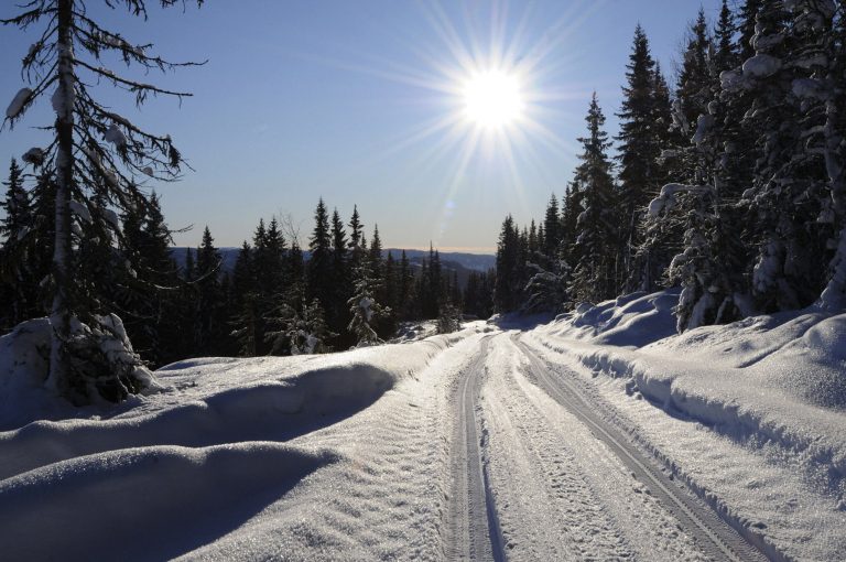 Vinterbilder | Kjersti Rylandsholm