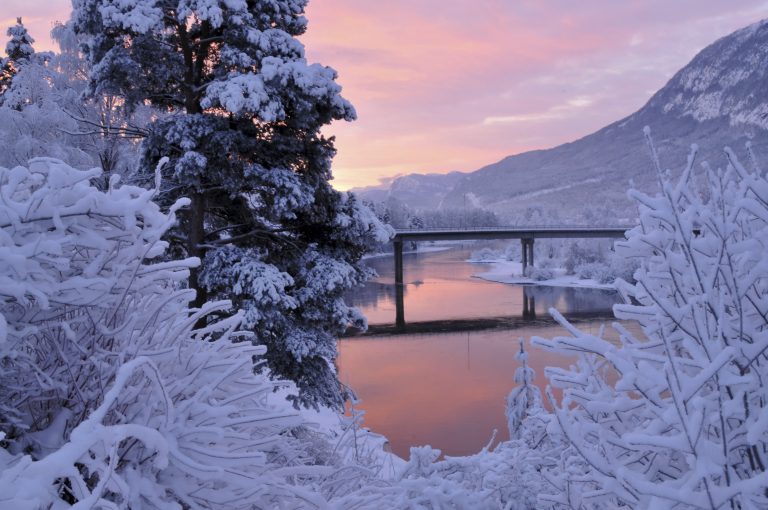 Vinterbilder | Kjersti Rylandsholm